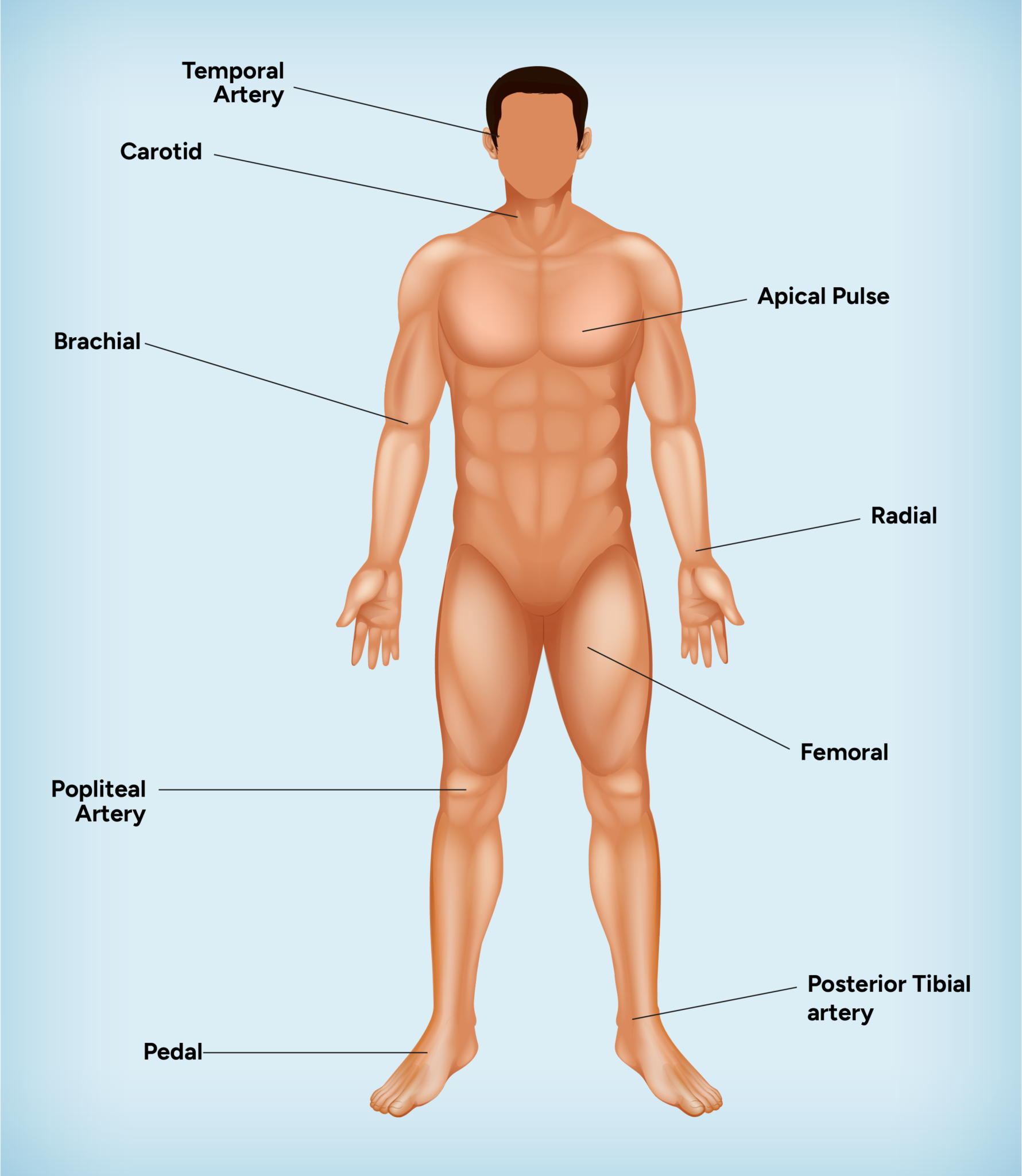 How to assess pulse points as an RN