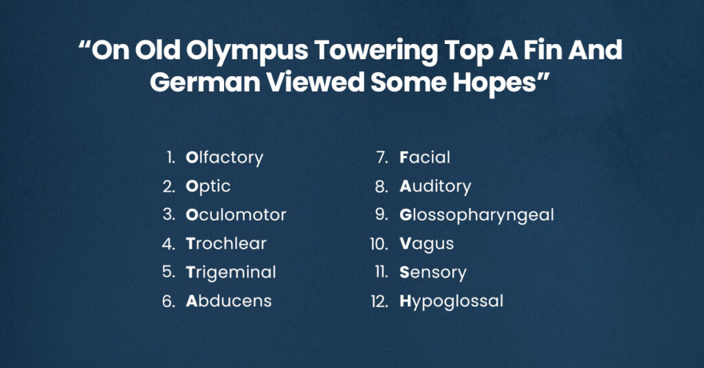 How to Remember 12 Cranial Nerves with Mnemonics