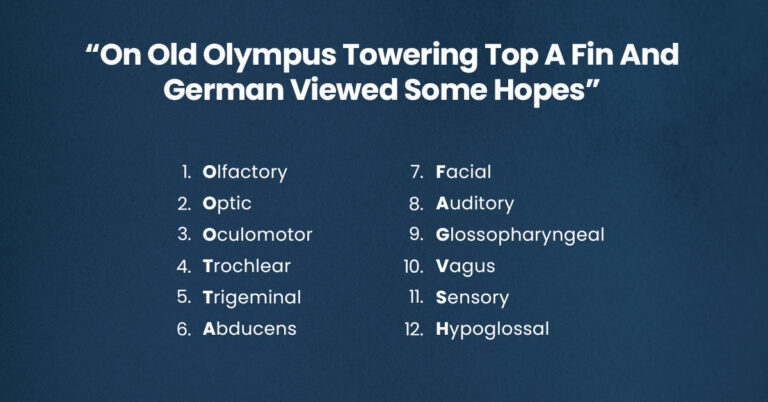 How to Remember 12 Cranial Nerves with Mnemonics