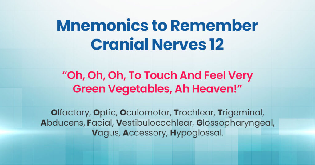 How to Remember 12 Cranial Nerves with Mnemonics