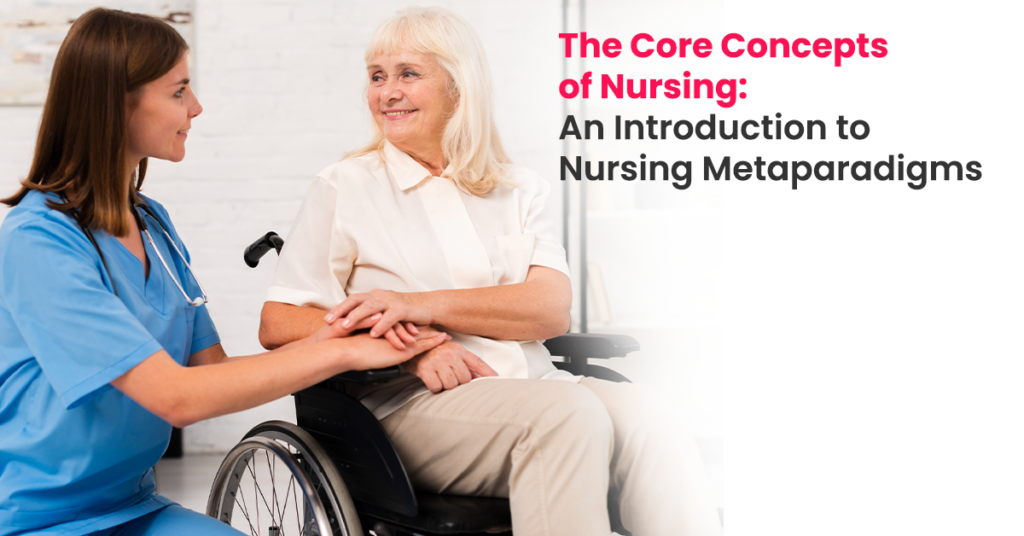 What Are Nursing Metaparadigm? Detailed Explanation