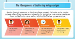 What Are Nursing Metaparadigm? Detailed Explanation