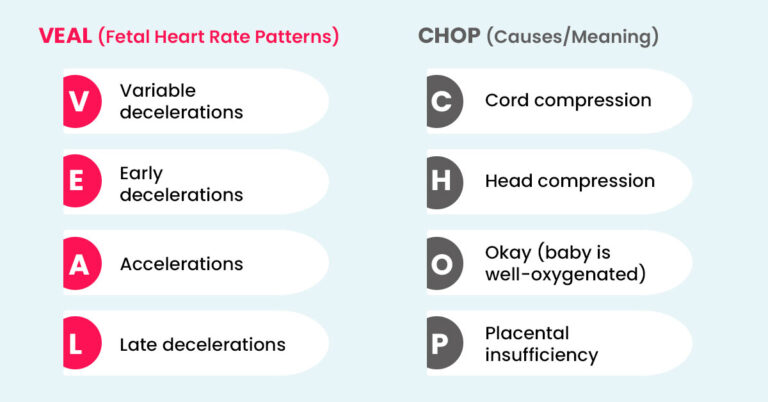 What Is VEAL CHOP Nursing Mnemonic?