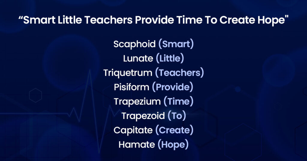 Easy Mnemonic to Remember Bones In Hand and Wrist