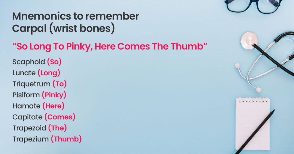Easy Mnemonic to Remember Bones In Hand and Wrist